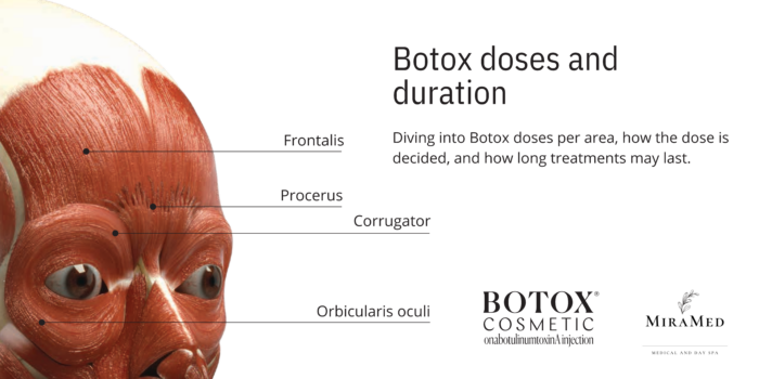 Botox Dosing and Duration: How Long Does Botox Last Based on the Dose ...